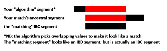 What is a segment? | segment-ology
