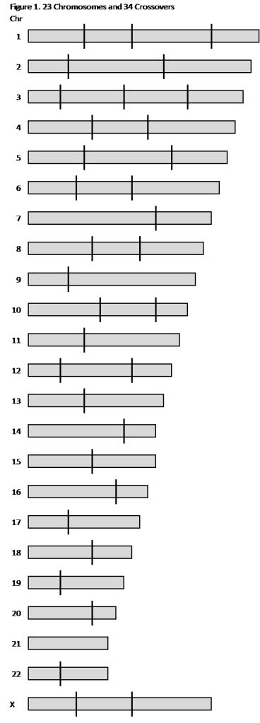 Crossovers by Generation | segment-ology