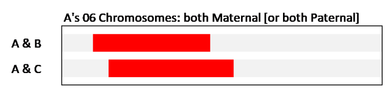 Are Overlapping Segments Triangulated? | segment-ology